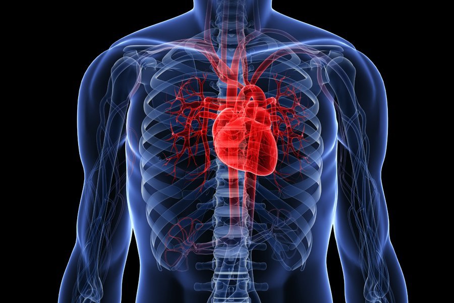 Cardiac Surgery | Timely Medical Alternatives